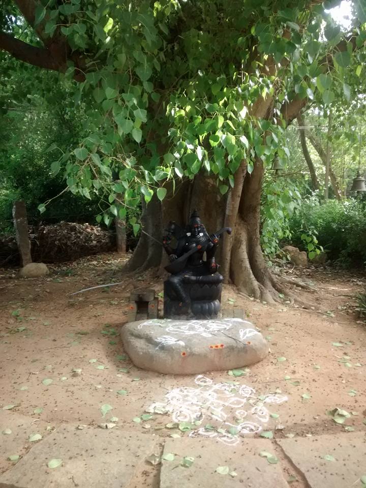 The Immensity and Intimacy of Space - Beloo Mehra Renaissance