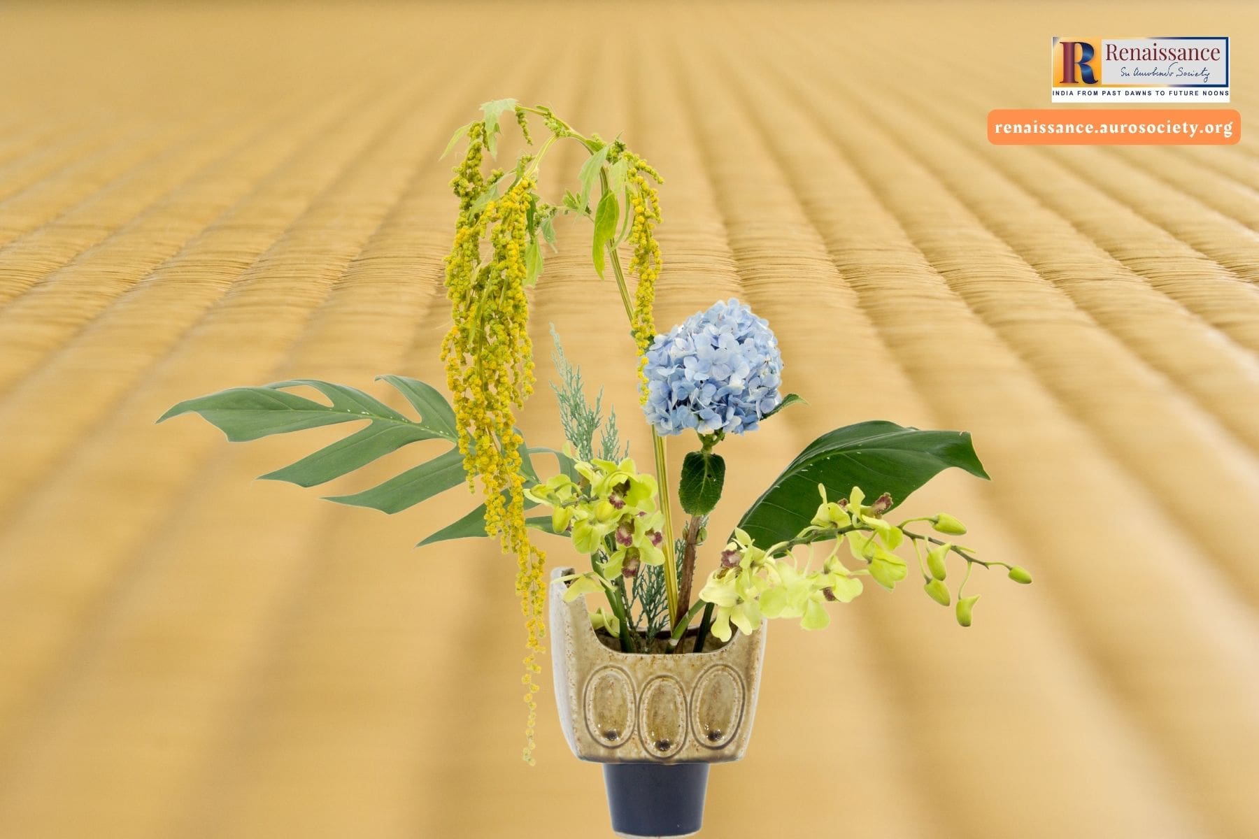 Japanese Flower-artist: A timeless story retold in multiple languages ...