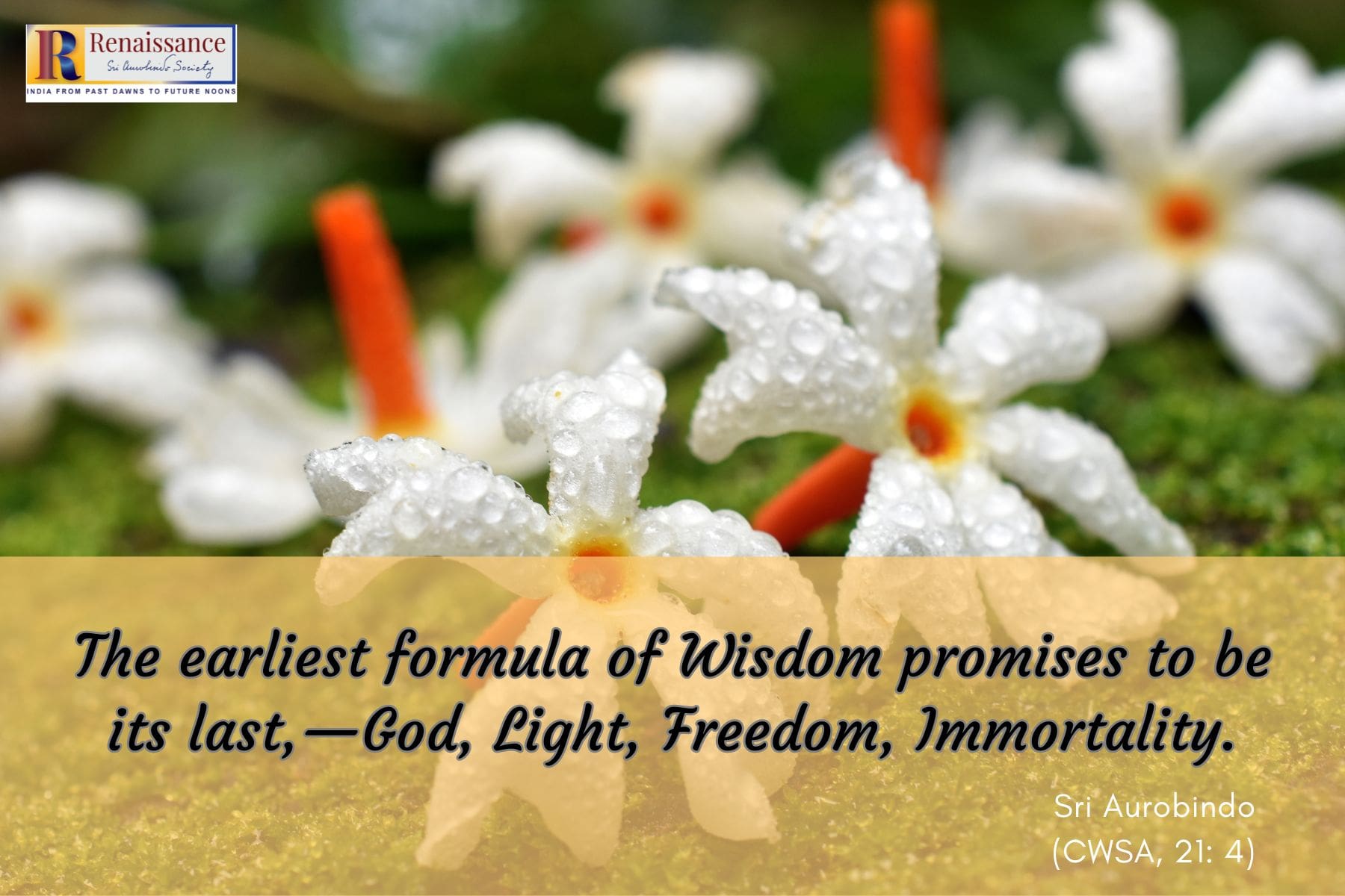 The Human Aspiration – Deliberations on The Life Divine (1) - Ananda Reddy