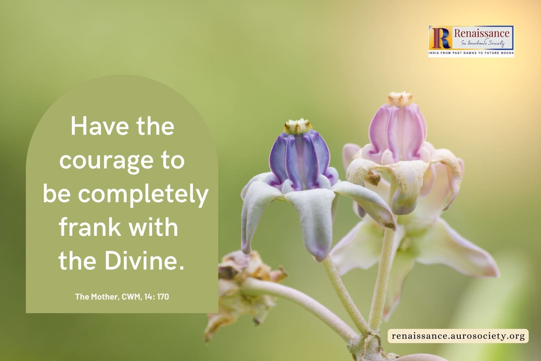 Flowers That Mean Courage