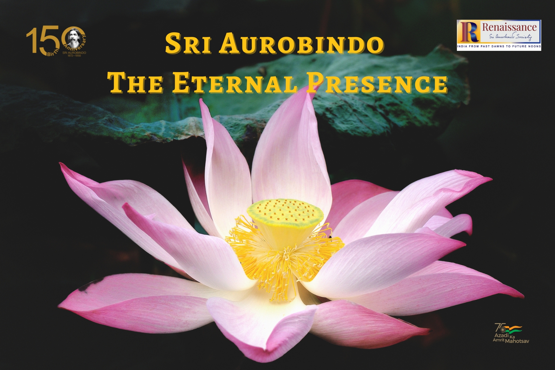 “A God’s Labour”: Sri Aurobindo’s Work Divine - Beloo Mehra