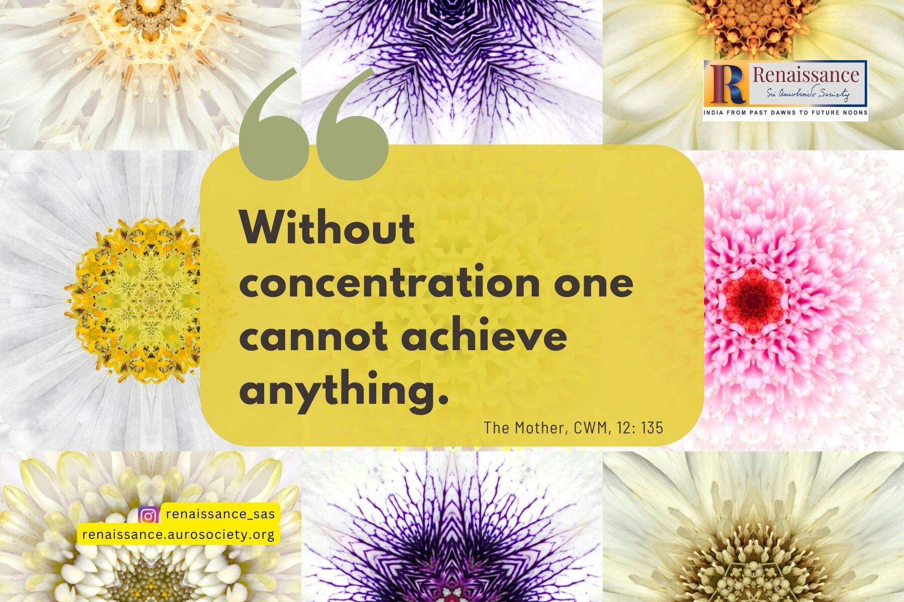 Purpose Gives Focus; Concentration Gives the Ability - Chirasree Mitra