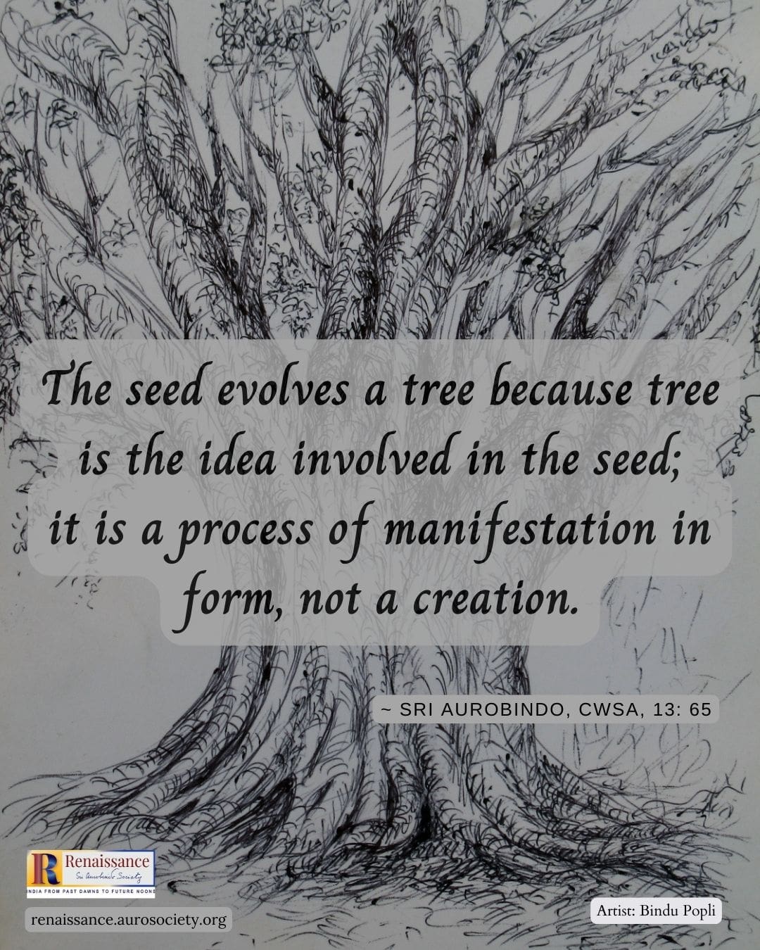 Memory of a Seed (Self-remembering) - Gayatri Majumdar