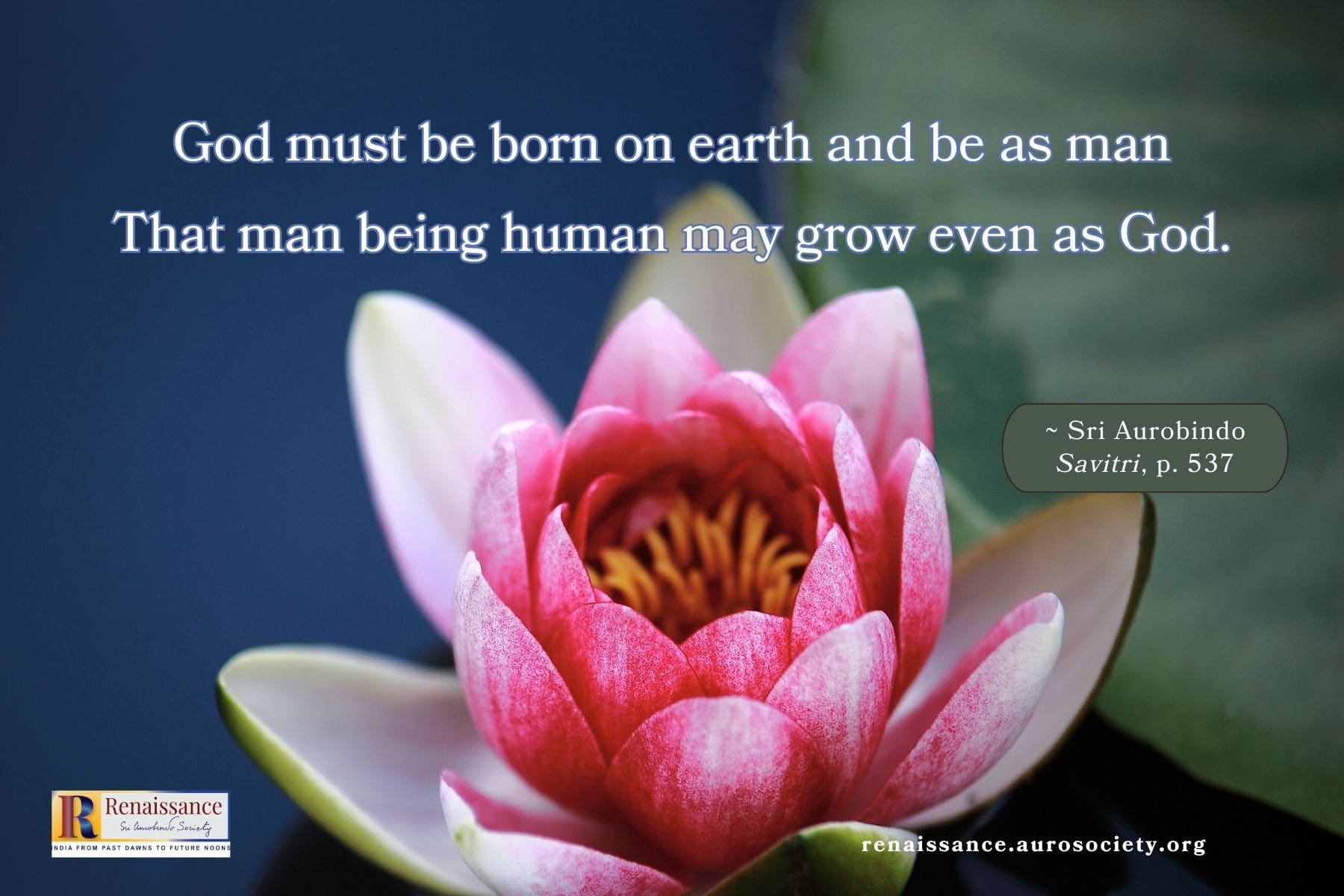 Sri Aurobindo and the Kalki Avatar -1 - Georges van Vrekhem